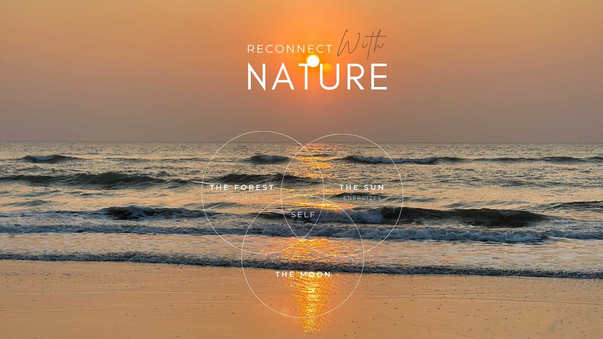 Reconnect with Nature: Finding Balance, Inspiration, and Purpose in the ...